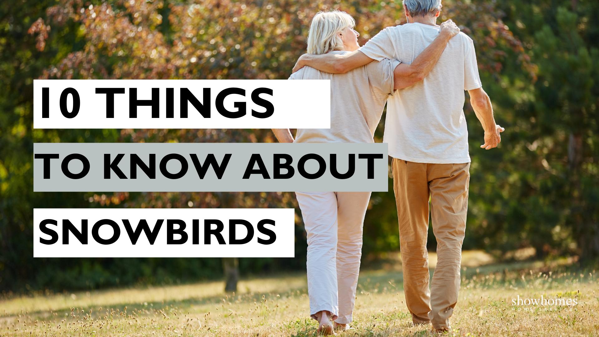 Embracing Snowbird Season: Things You Should Know About Our Winter ...